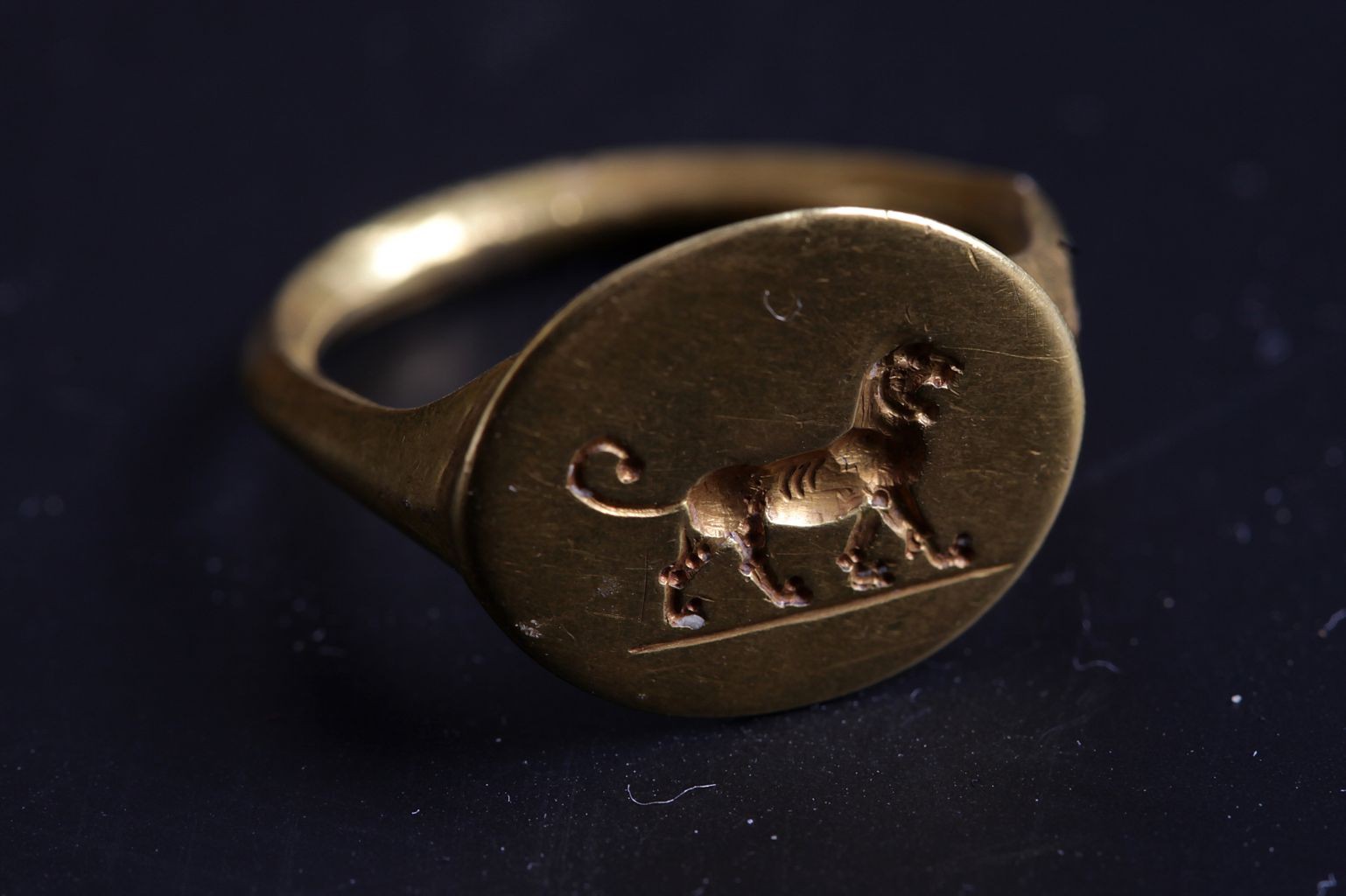 Gold seal ring | Sardis Expedition
