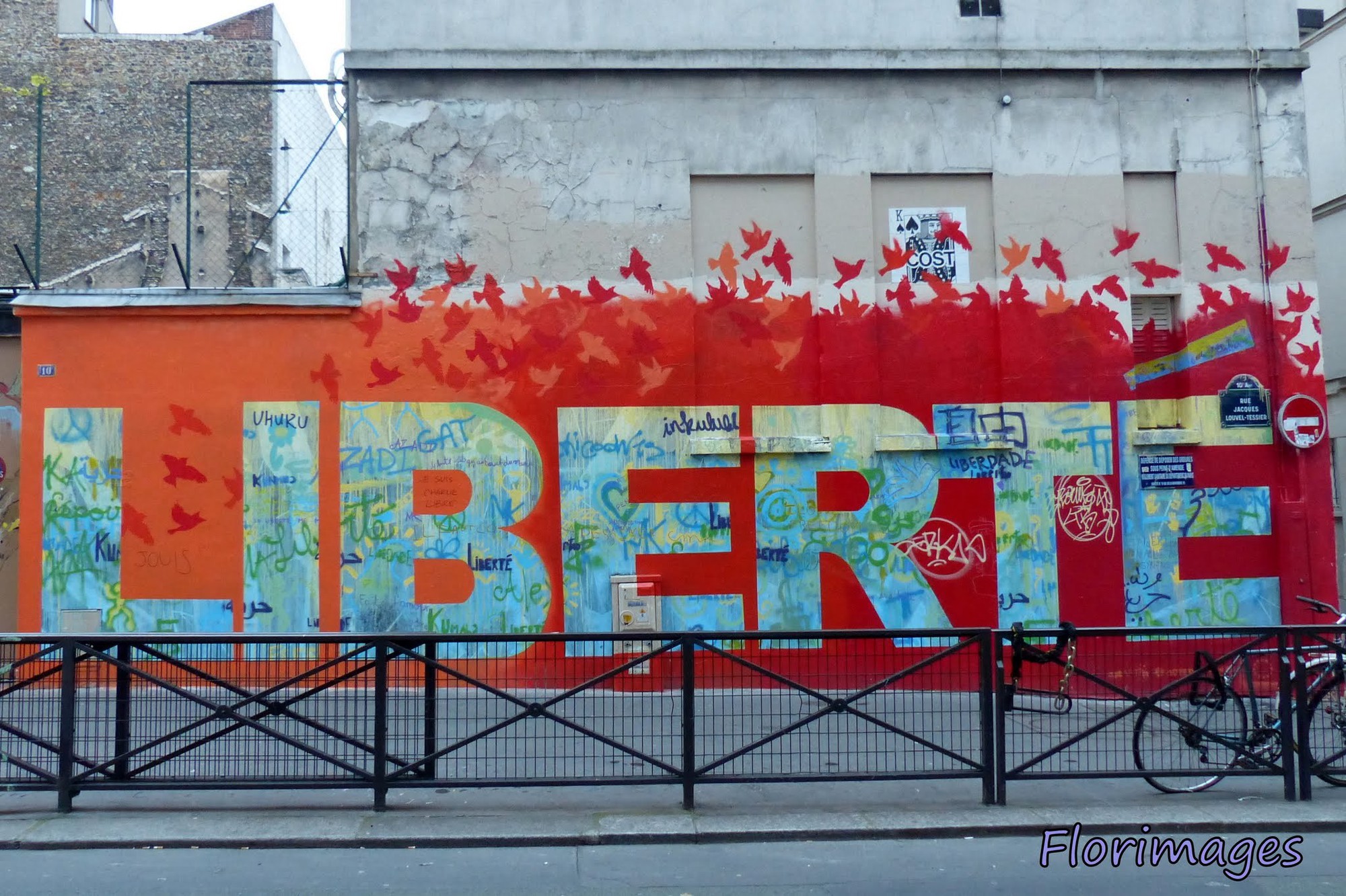 The Charlie Archive | at the Harvard Library