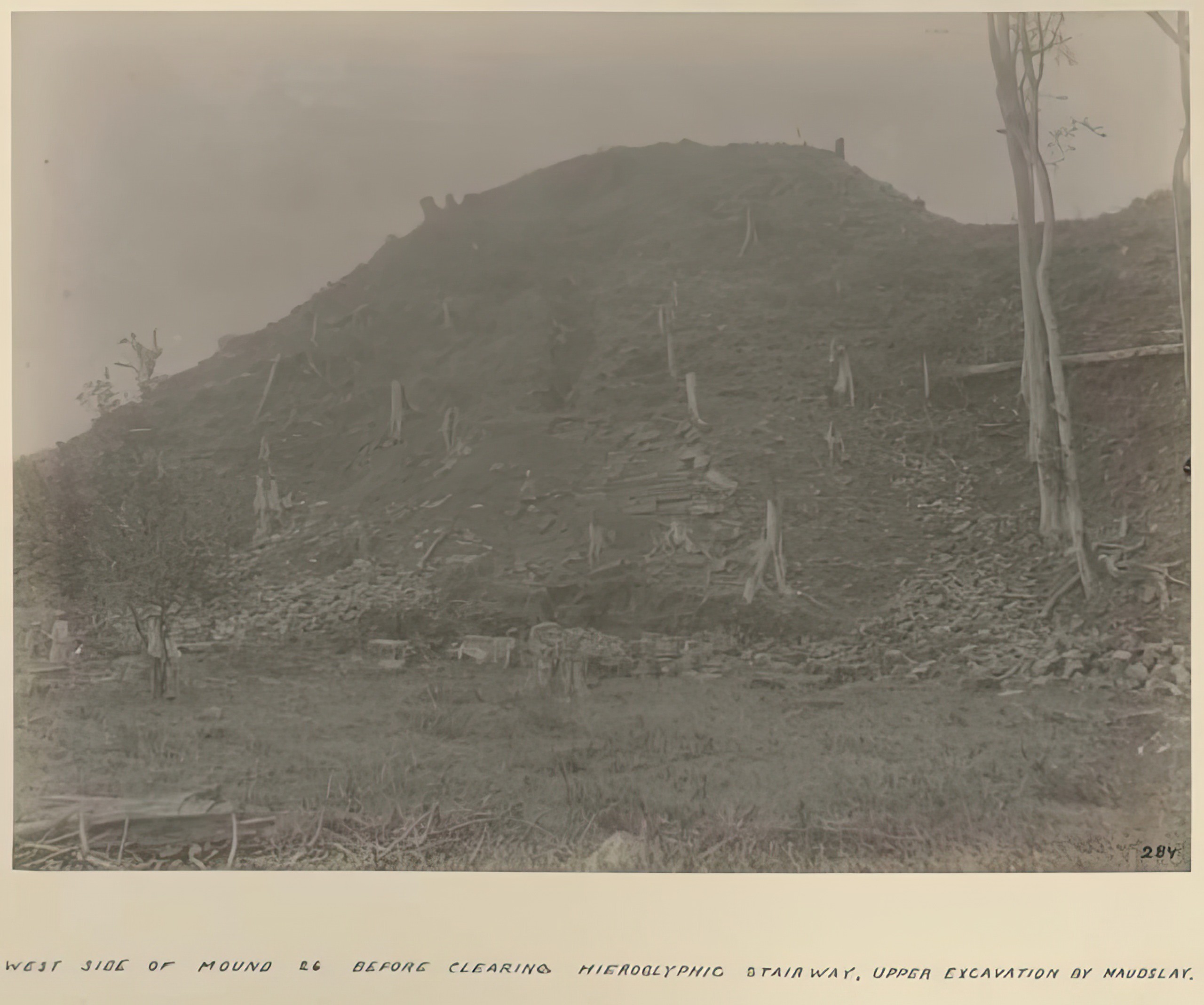 West side of Mound 26 before clearing hieroglyphic stairway | Copán Ruinas